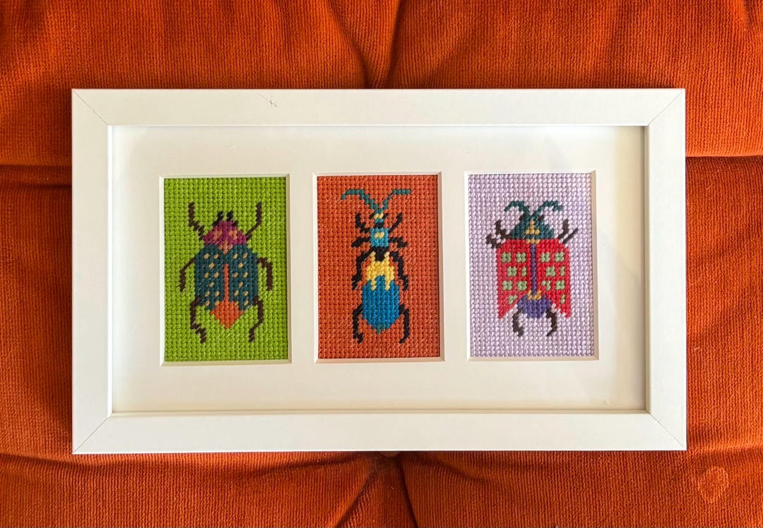Framed Beetle Needlepoint Series- Set of Three - Etsy