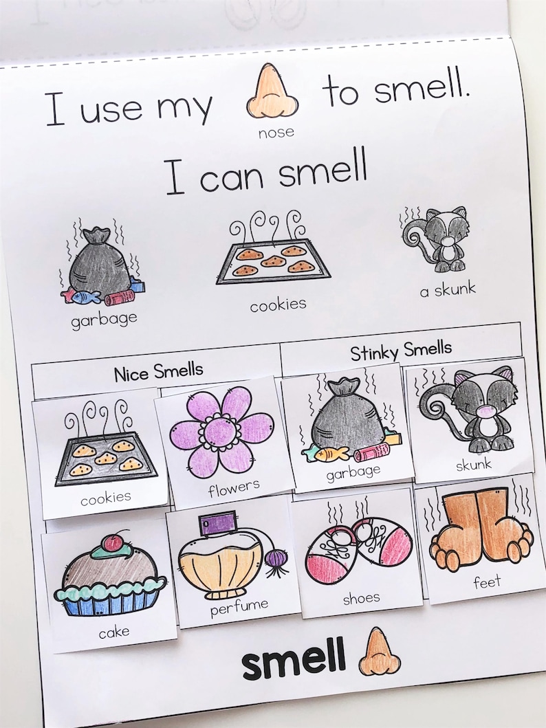 5 Senses Flip Book - Etsy