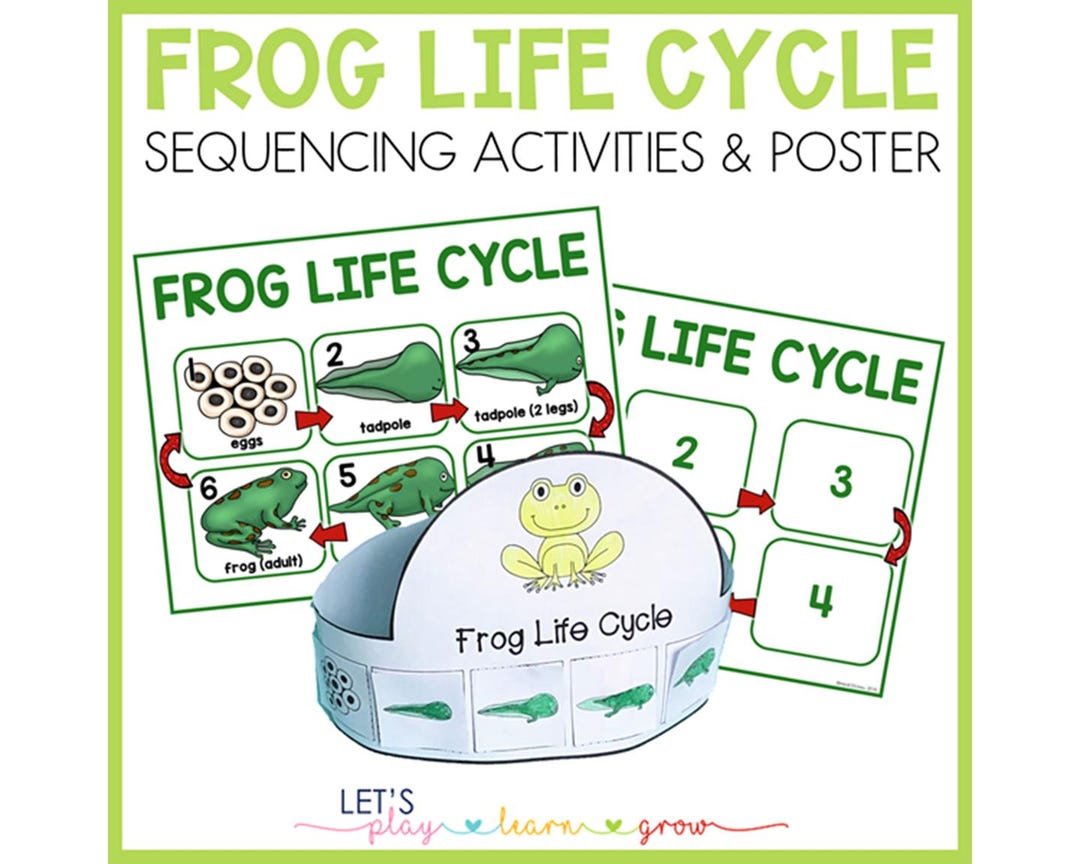 Frog Life Cycle Activities | Frog Life Cycle Poster | Sequencing ...