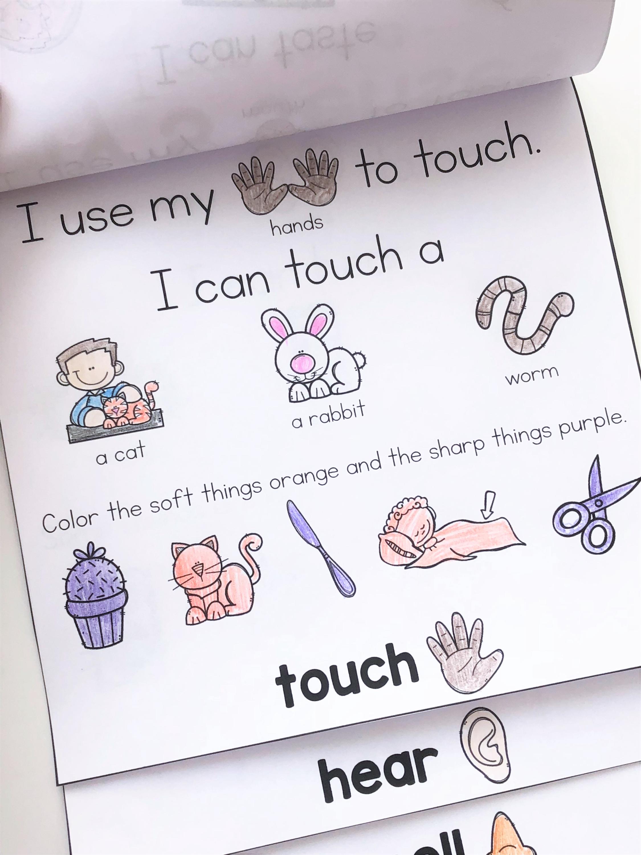 5 Senses Flip Book - Etsy
