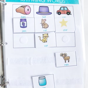 Literacy Activity Binder: CVC Words, Rhyming, Sight Words (printable ...