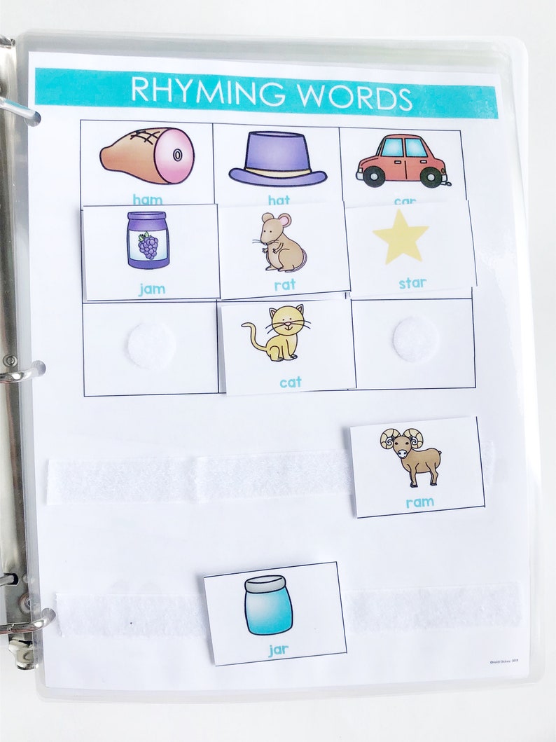 Literacy Activity Binder: CVC Words, Rhyming, Sight Words (printable ...