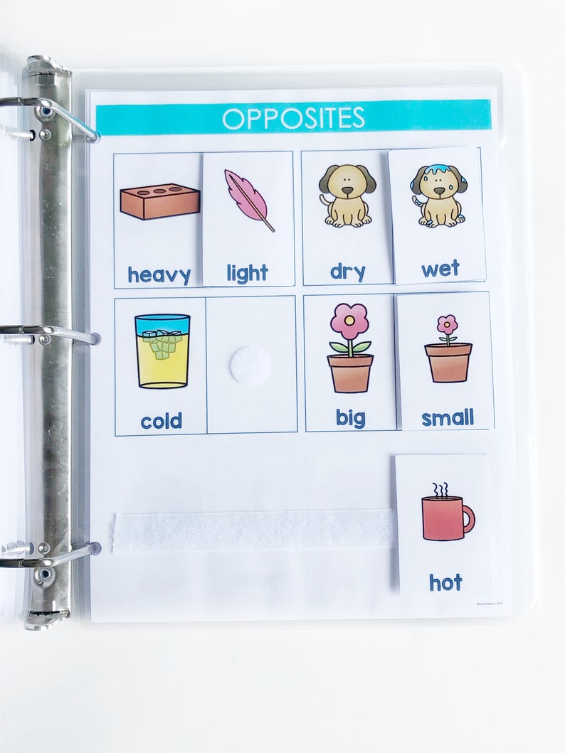 Literacy Activities Binder Activity Binder Printables - Etsy