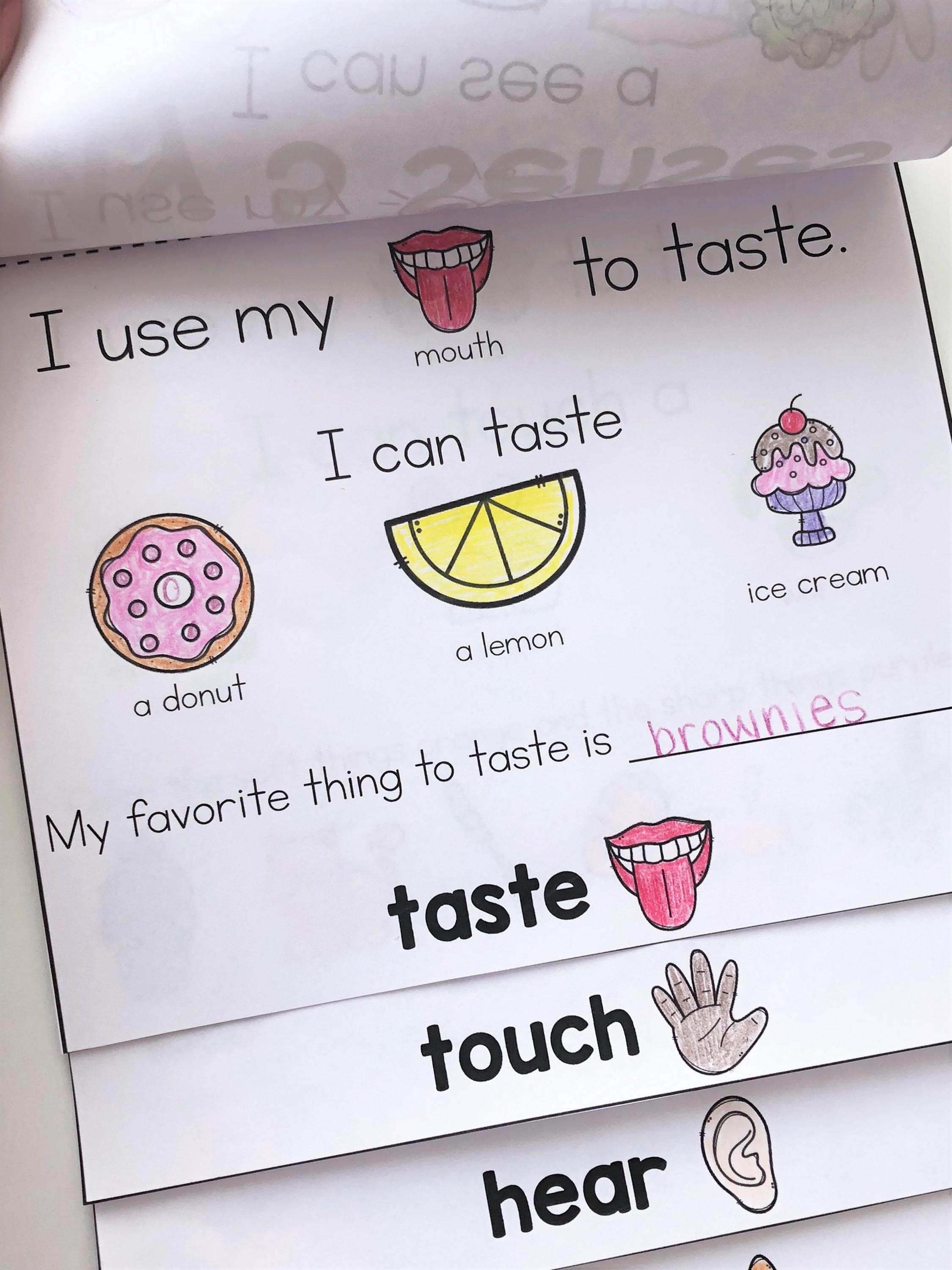 5 Senses Flip Book - Etsy