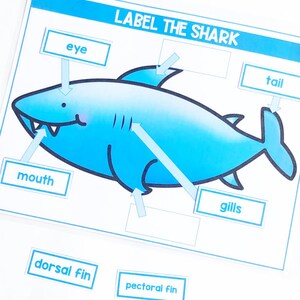 Ocean Themed Busy Binder, Activity Binder, Homeschool, Preschool ...