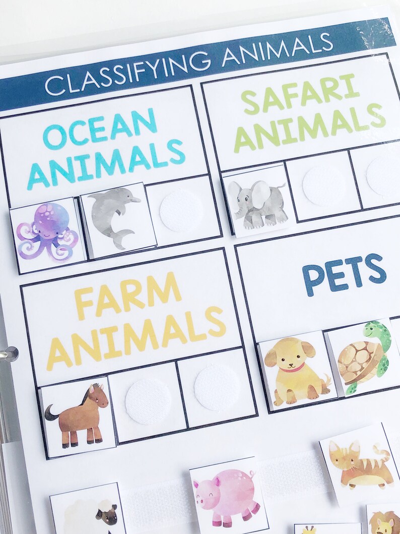 Early Learning Busy Binder Bundle: Preschool Activities (digital ...