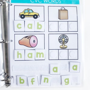 Literacy Activity Binder: CVC Words, Rhyming, Sight Words (printable ...