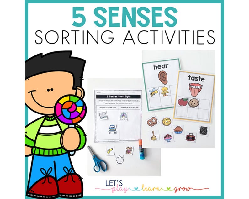 5 Senses Sorting Activities - Etsy