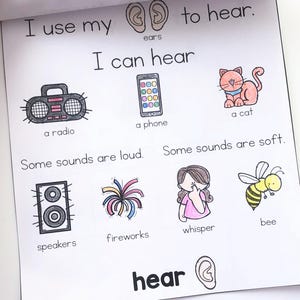5 Senses Flip Book - Etsy