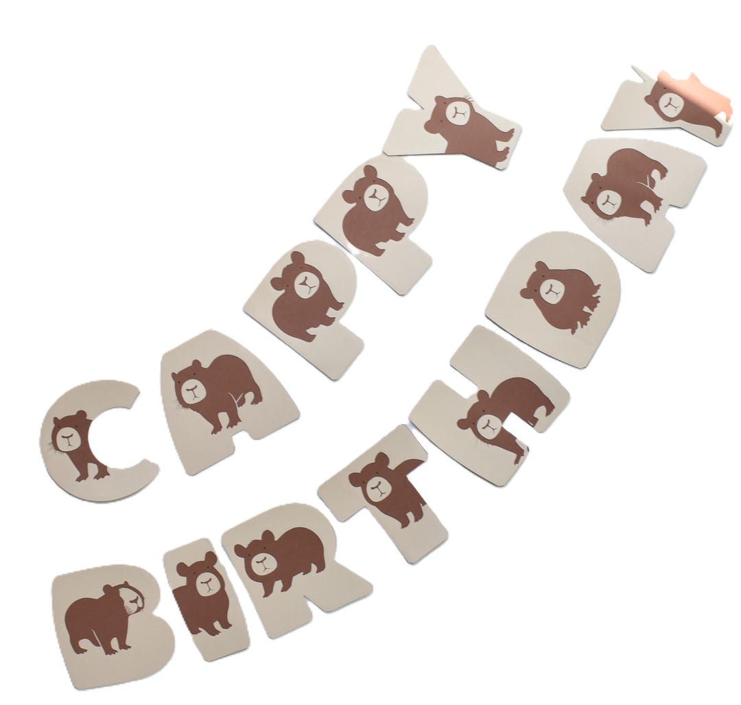 Personalized Kawaii Capybara Birthday Garland, Unique Capybara Custom ...