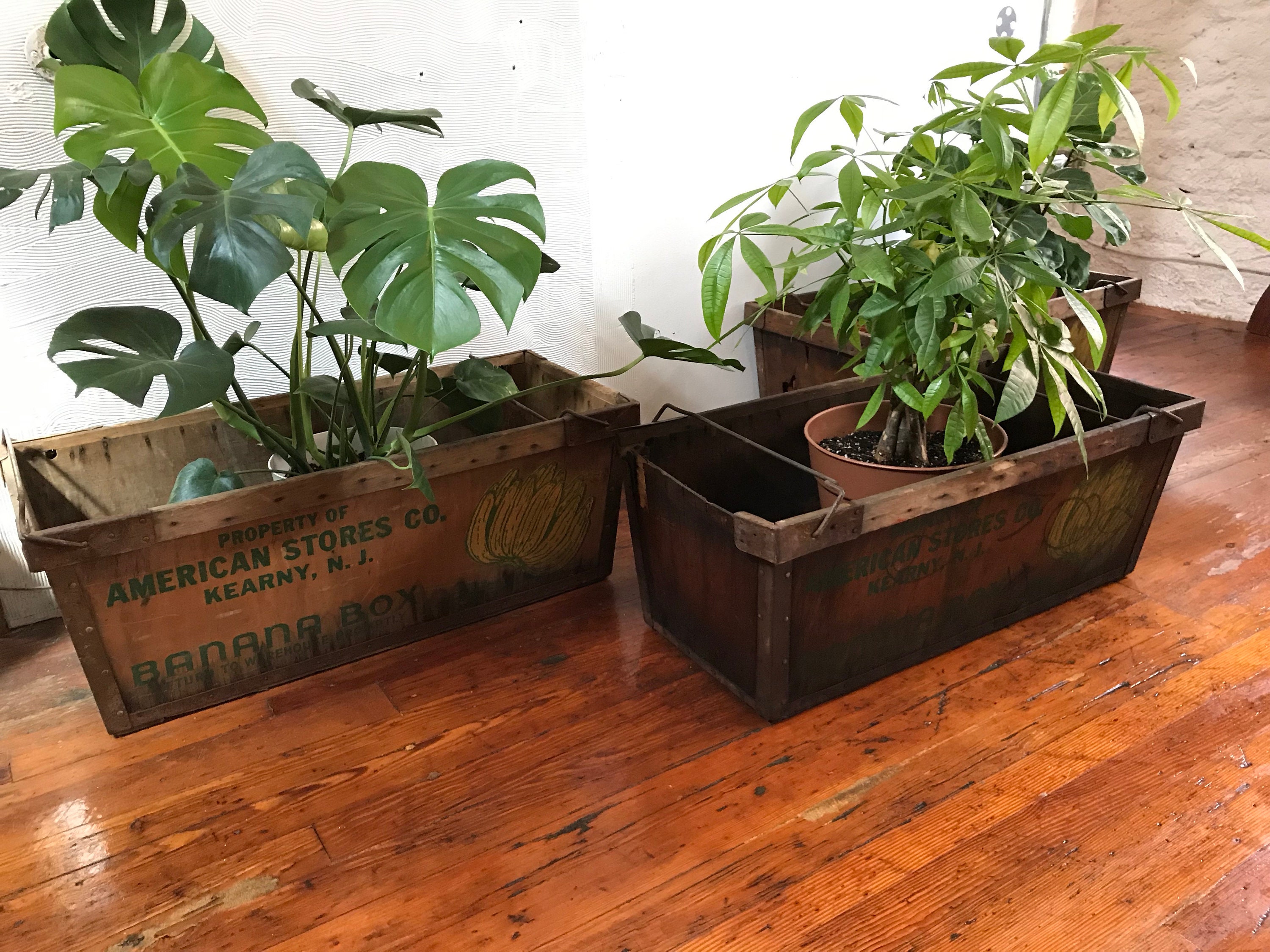 Antique Planter Industrial Planter Antique Fruit Box | Etsy