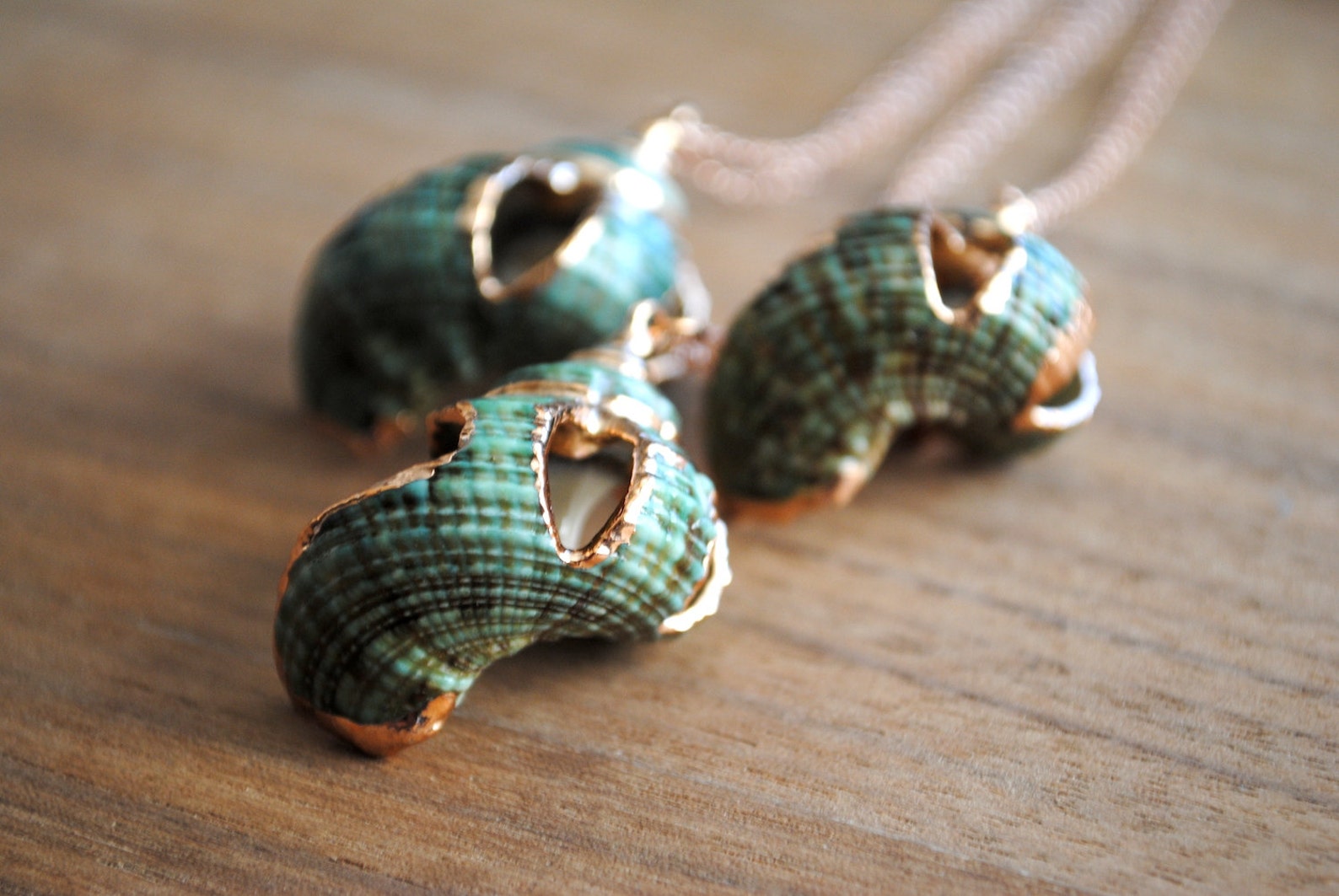 Rose Gold Shell Necklace. Rose Gold Turbo Shell Necklace. Rose Gold ...