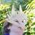 Fey Deer Realistic LARP Mask - Etsy