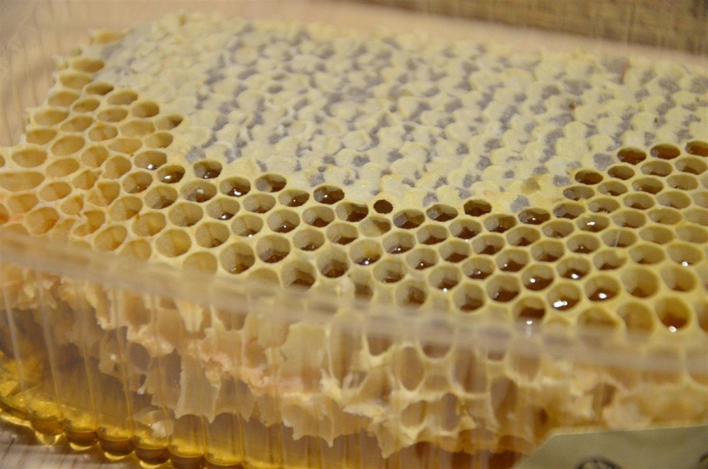 Organic 100% Natural Pure Raw Honeycomb Squares Just Fresh From Bee ...