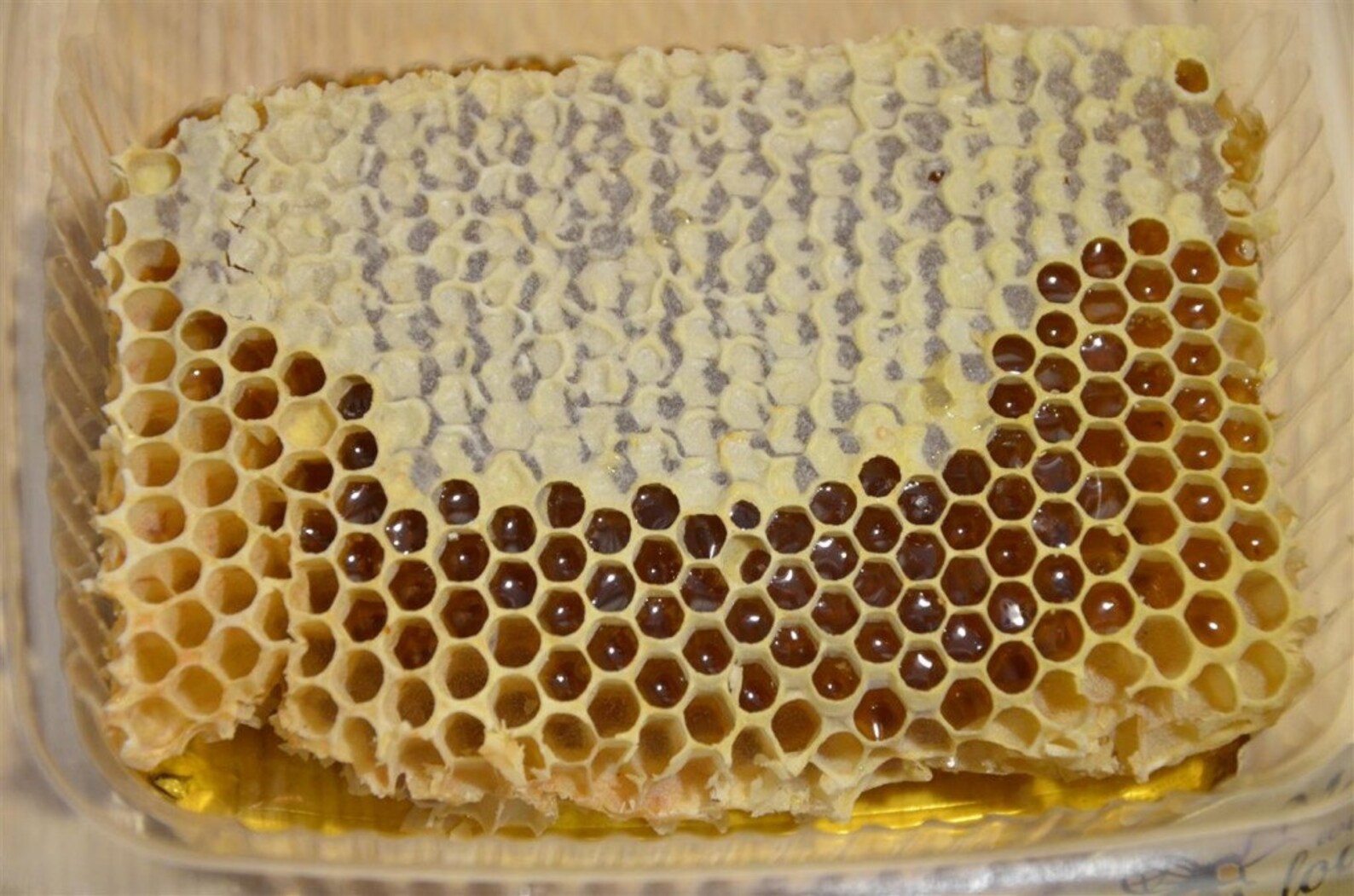 Organic 100% Natural Pure Raw Honeycomb Squares Just Fresh From Bee ...