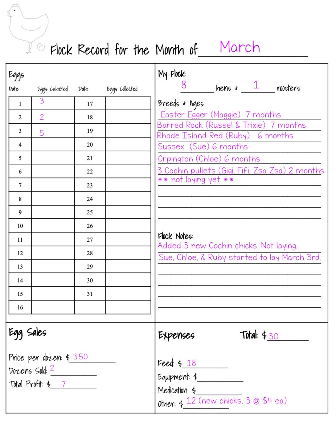 Chicken Flock Record Printable - Etsy