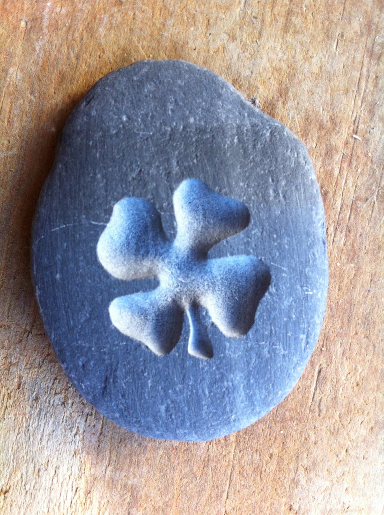 Lucky Pebble Hand Carved 4 Leaf Clover Perfectly Pocket - Etsy