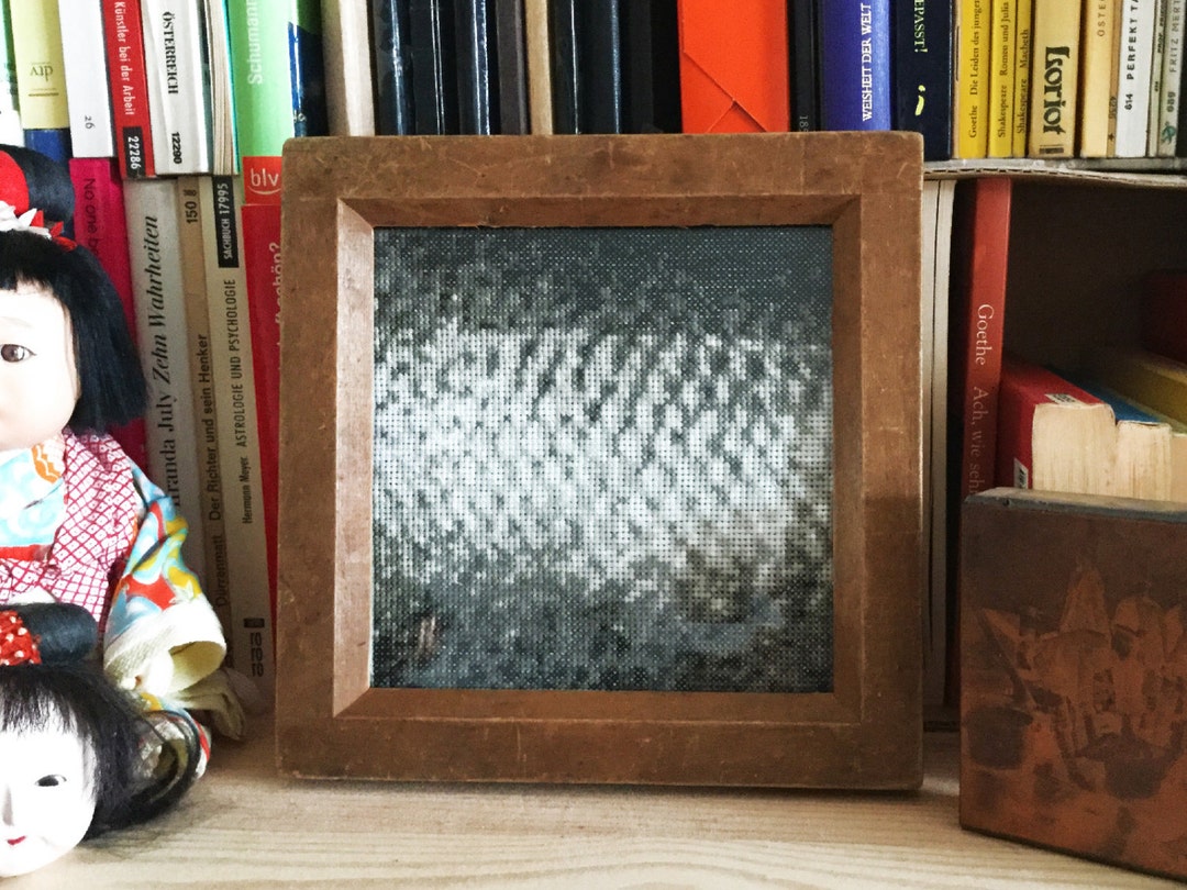 FISH SKIN Cross Stitch Pattern . Modern Glossy Fish Scales Counted ...