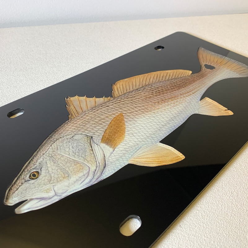 Fish Plate - Etsy