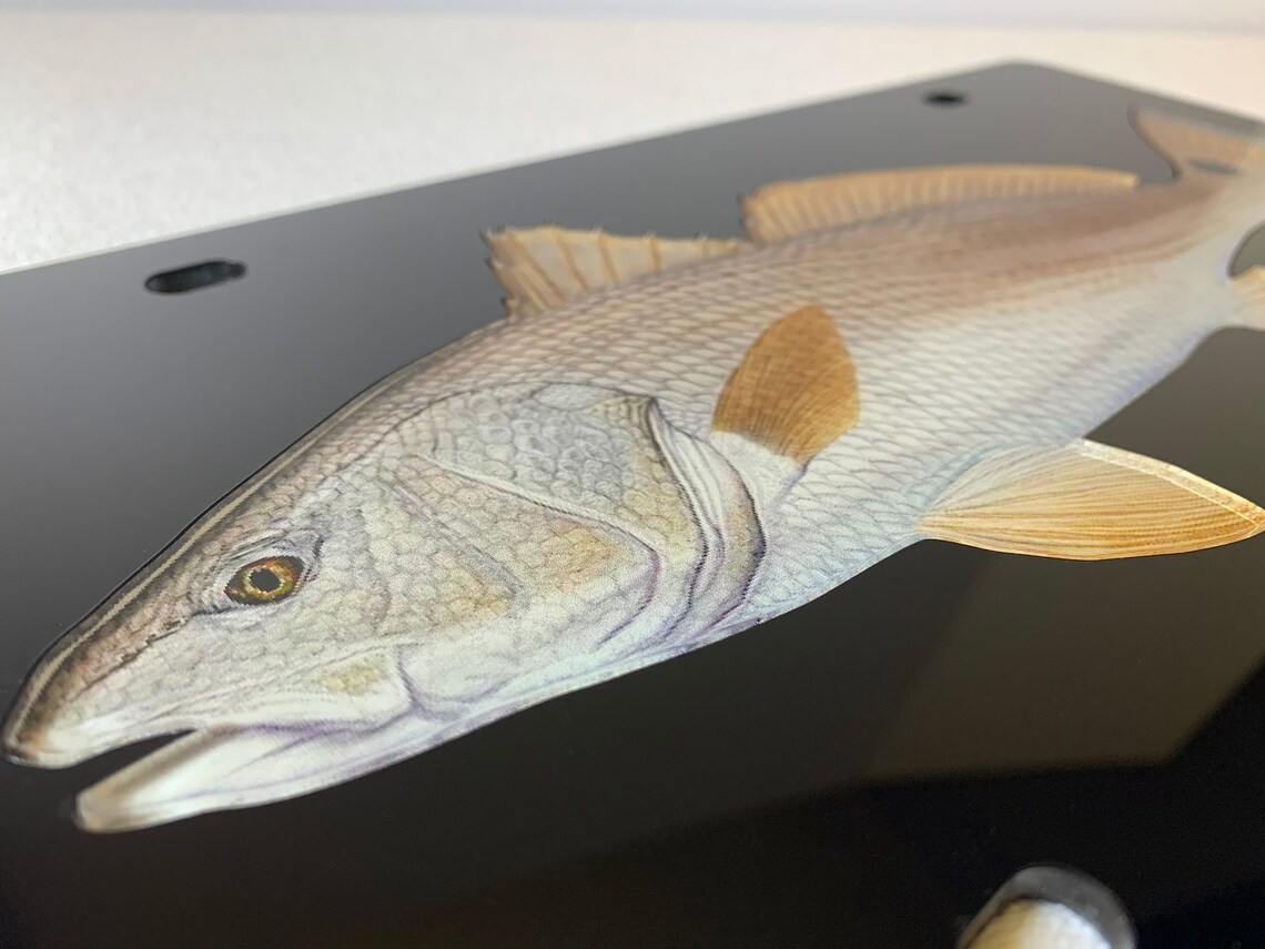 Redfish License Plate, Laser-cut Acrylic With UV Printed Fish (free ...