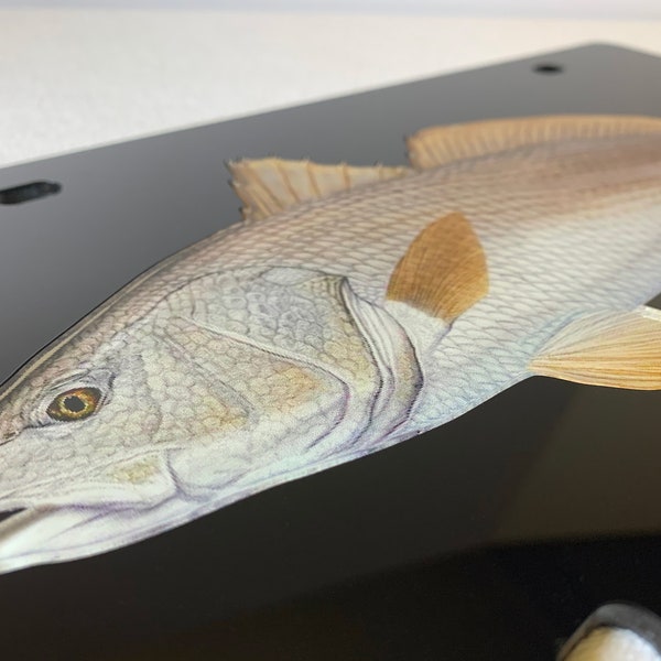Fish License Plate - Etsy