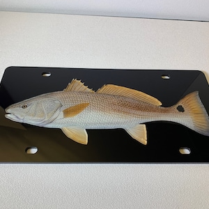 Redfish License Plate, Laser-cut Acrylic With UV Printed Fish (free ...