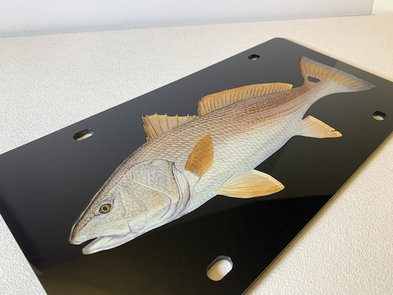 Redfish License Plate Laser-cut Acrylic With UV Printed Fish | Etsy