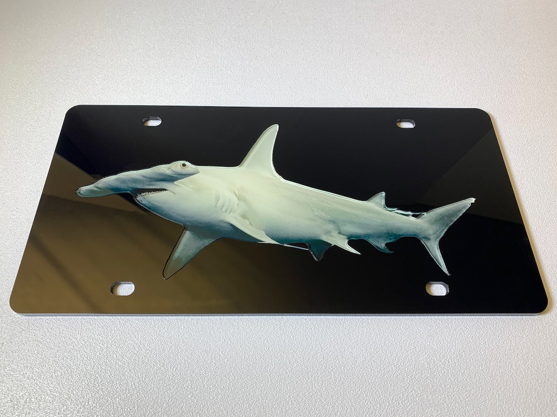 Hammerhead Shark License Plate Laser-cut Acrylic With UV | Etsy