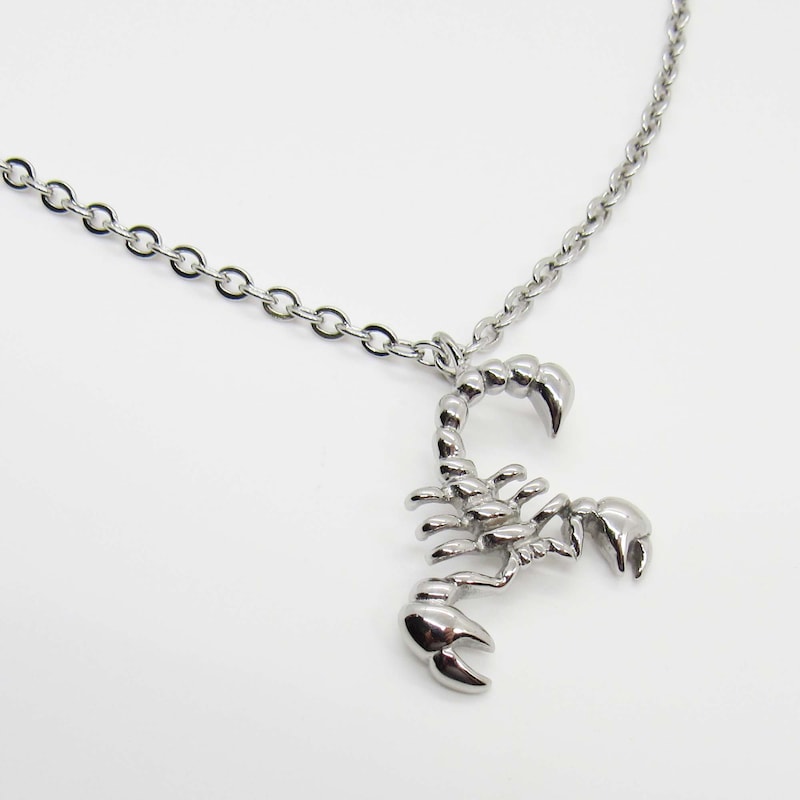 Scorpion Jewellery - Etsy
