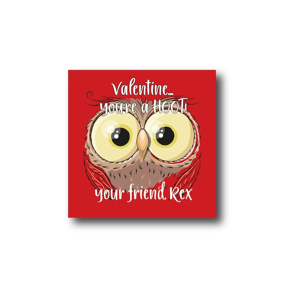 Valentines Stickers- You're a Hoot Stickers Owl Valentines Happy ...