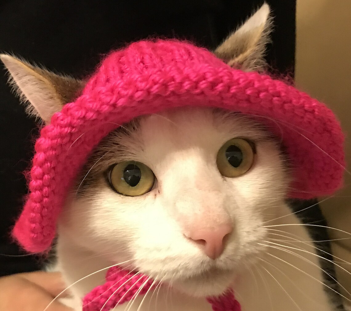 Pet Clothes Crochet Brim Hat Cats and Dogs Hand Knitted Nice - Etsy