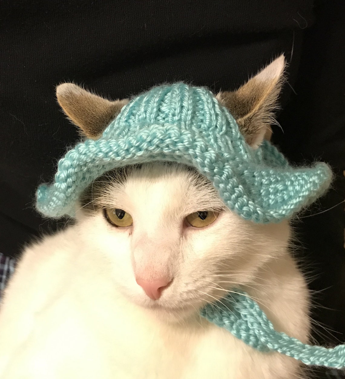 Pet Clothes Crochet Brim Hat Cats and Dogs Hand Knitted Nice | Etsy