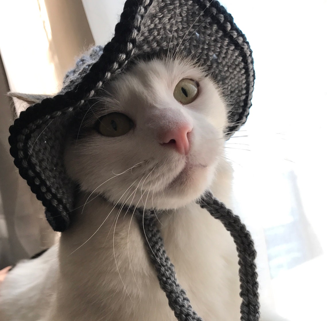 Pet Clothes Crochet Brim Hat Cats and Dogs Hand Knitted Nice - Etsy