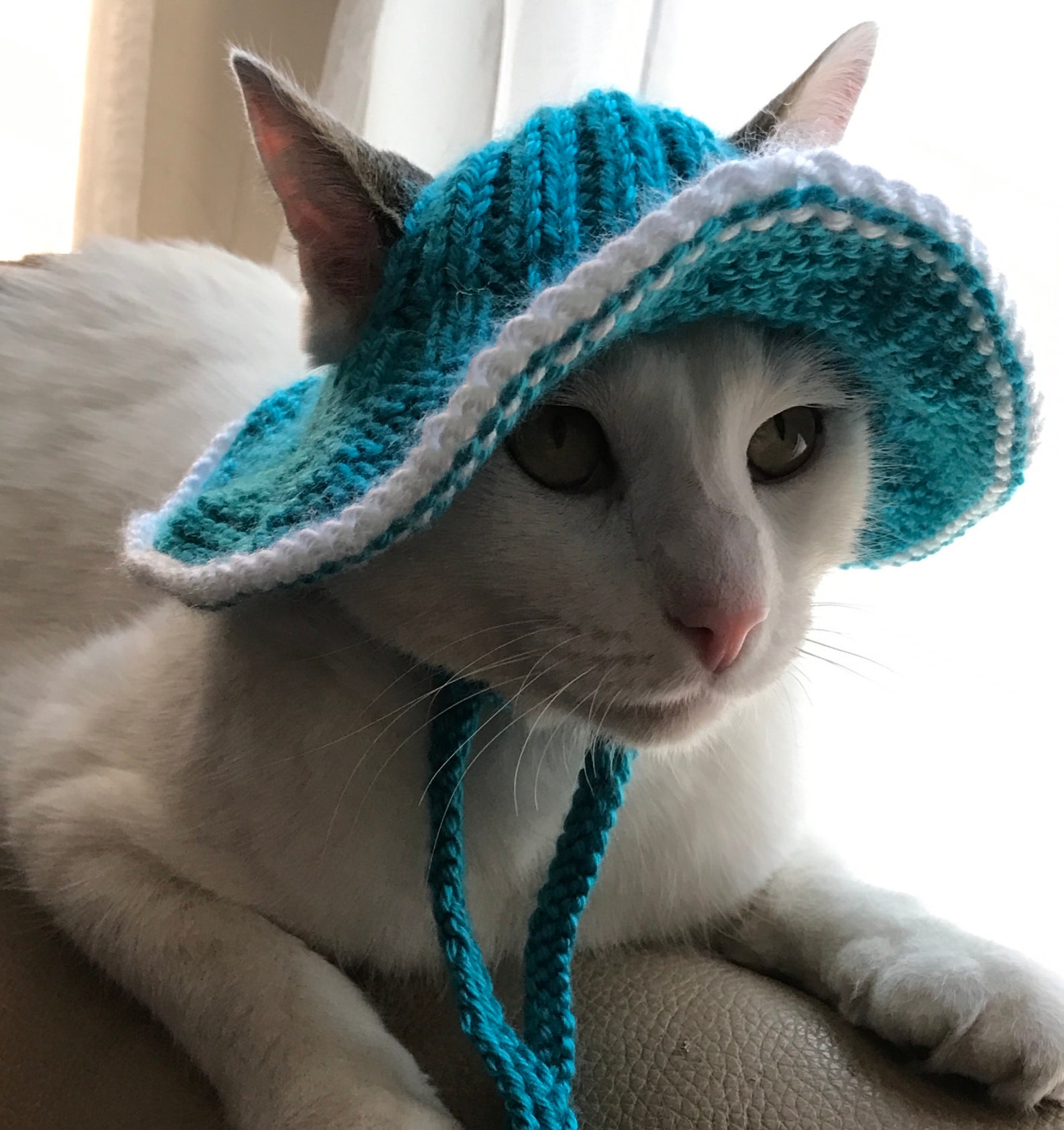Pet Clothes Crochet Brim Hat Cats and Dogs Hand Knitted Nice Gift - Etsy