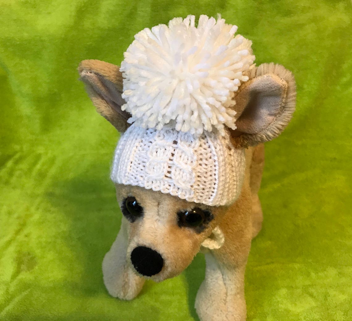 Pet Clothes Hat for Small Dog Hand Knitted Hat With Pom Pom | Etsy