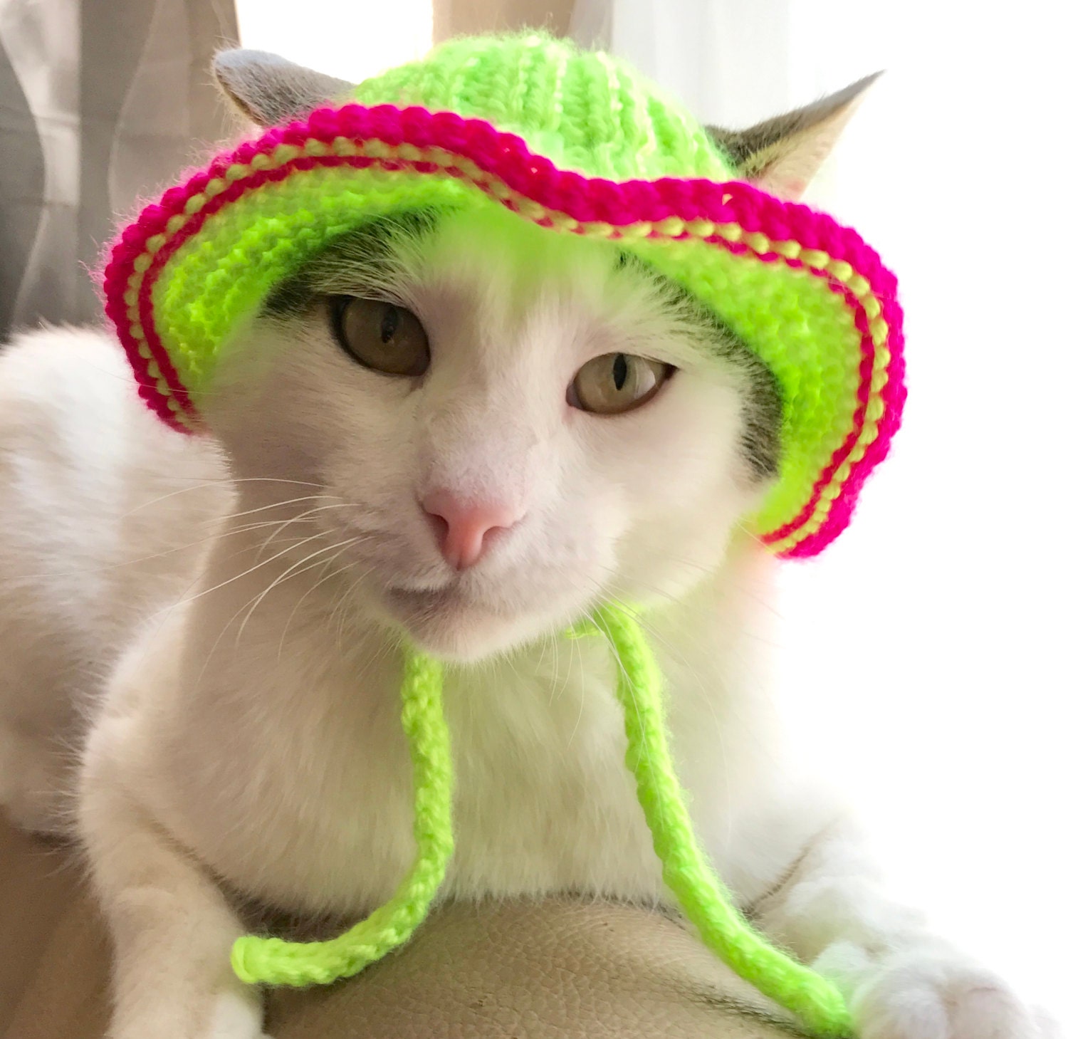 Pet Clothes Crochet Brim Hat Cats and Dogs Hand Knitted Nice | Etsy