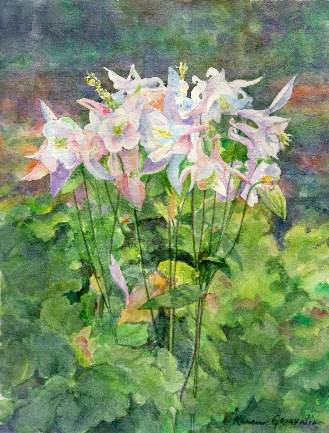 Delightful Columbine 5x7 Giclee Print - Etsy