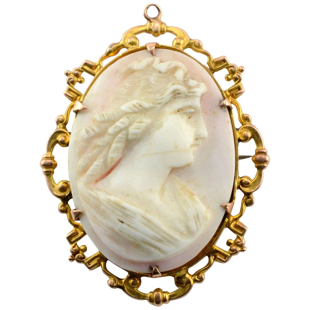 Conch Shell Cameo Pin or Pendant - Etsy