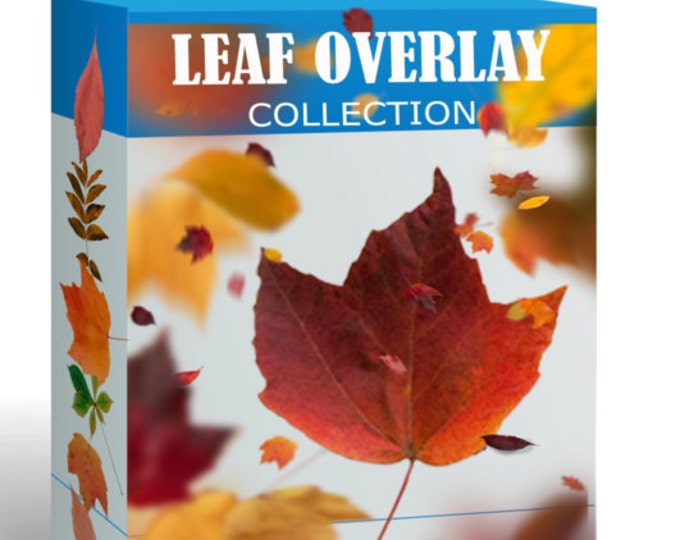 Leaf Overlay Collection for Photography Editing + Bonus! - Etsy