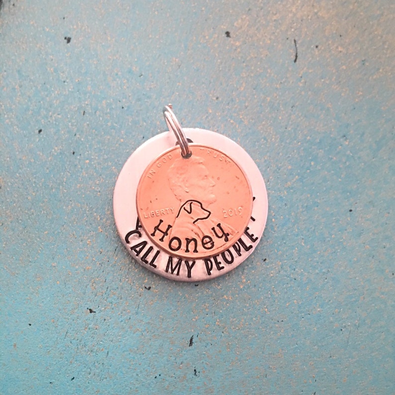 Personalized Penny Pet ID Tag Custom Funny Pet Identification - Etsy