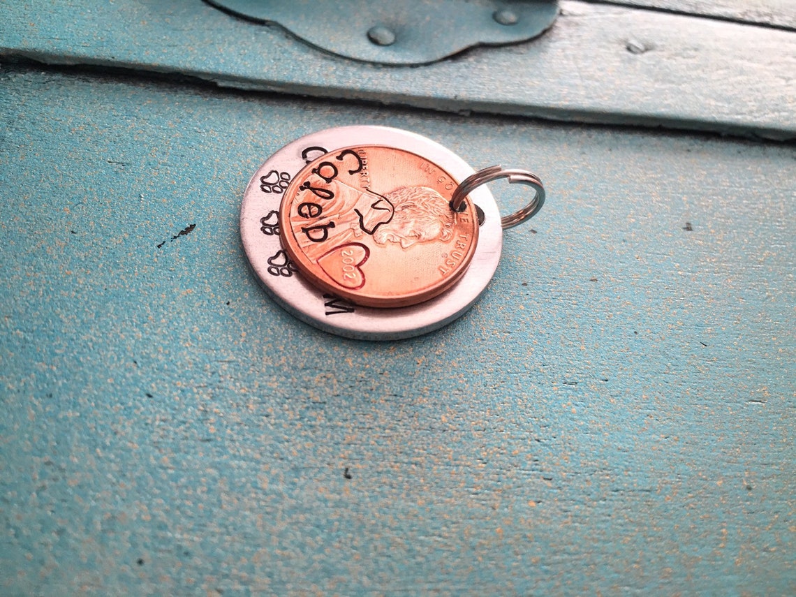 Personalized Penny Pet ID Tag Custom Funny Pet Identification - Etsy