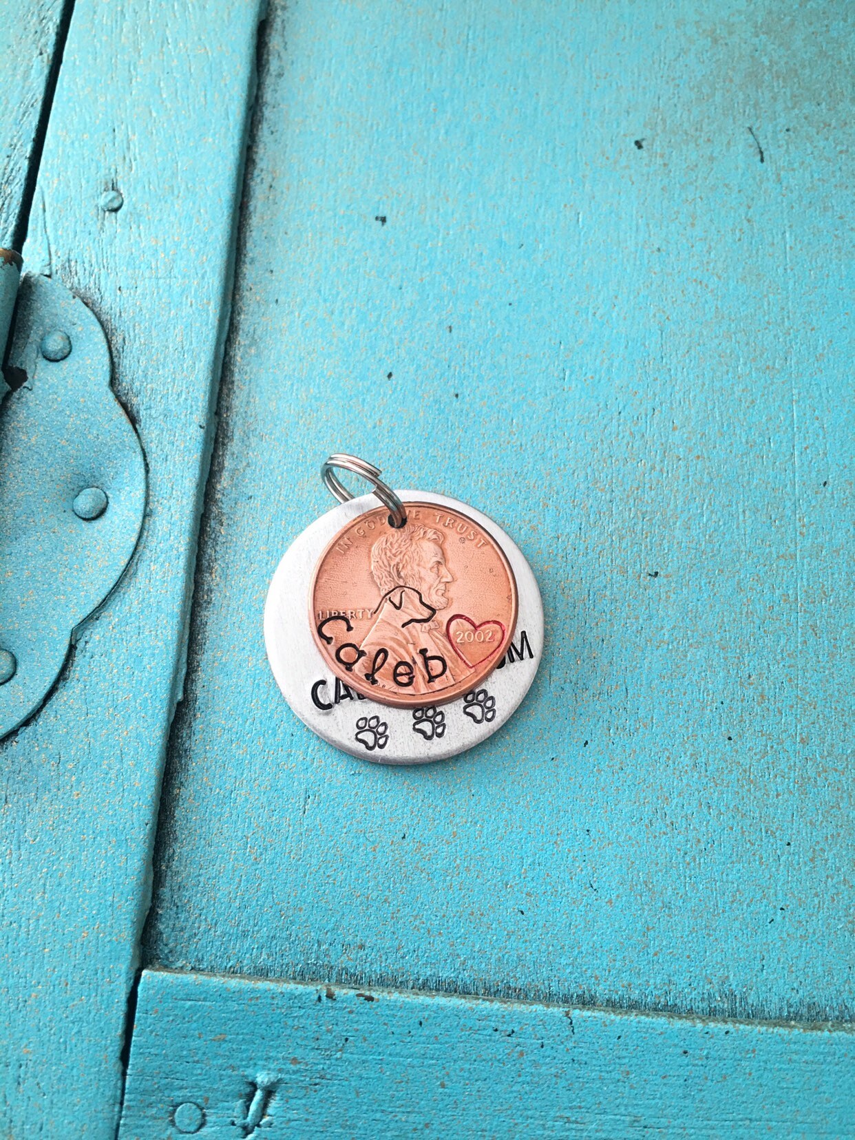 Personalized Penny Pet ID Tag Custom Funny Pet Identification | Etsy