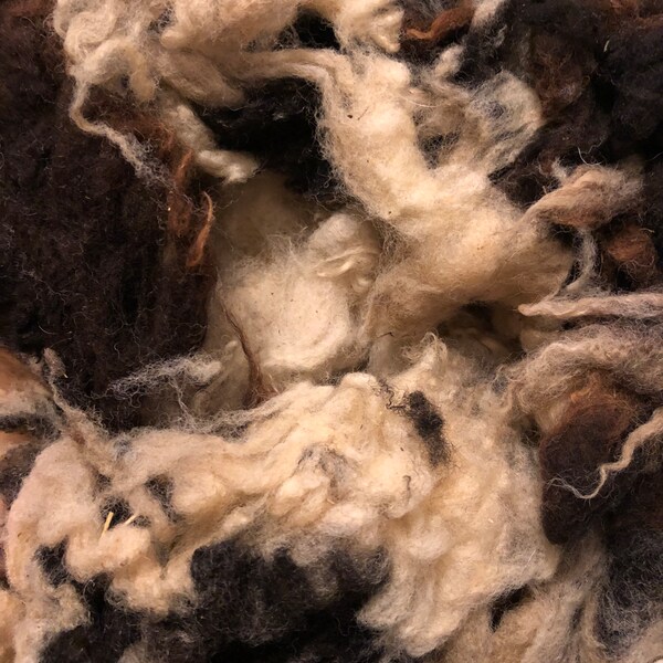 Raw Wool - Etsy