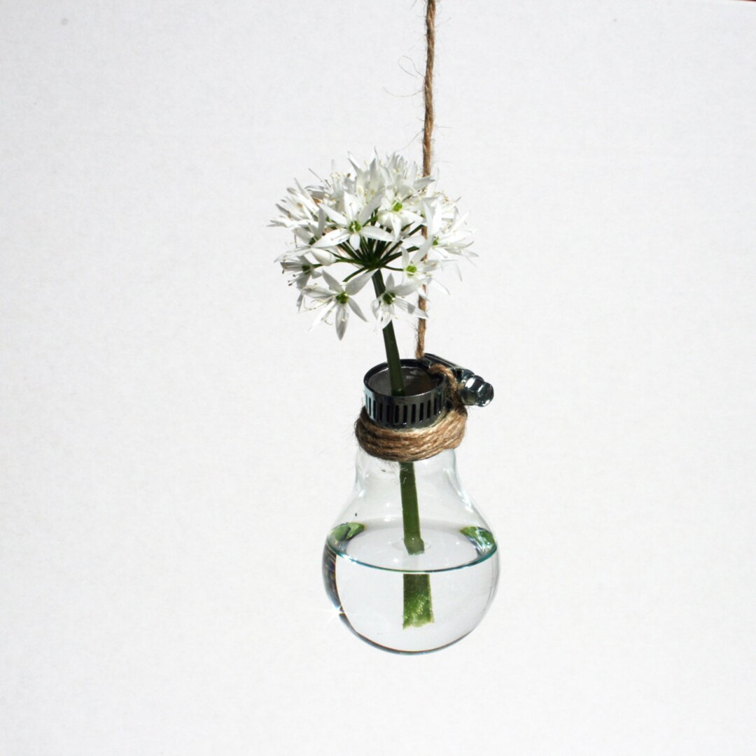 Glass Bulb Flower Display Upcycled Natural Eco - Etsy