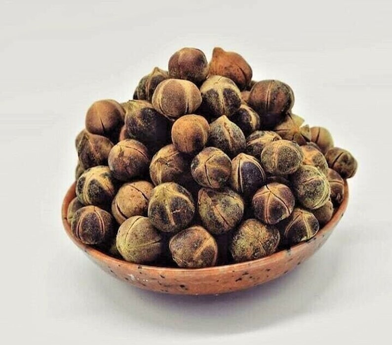 Gorontula Snot Apple African Silky Kola Fruit Capsules - Etsy