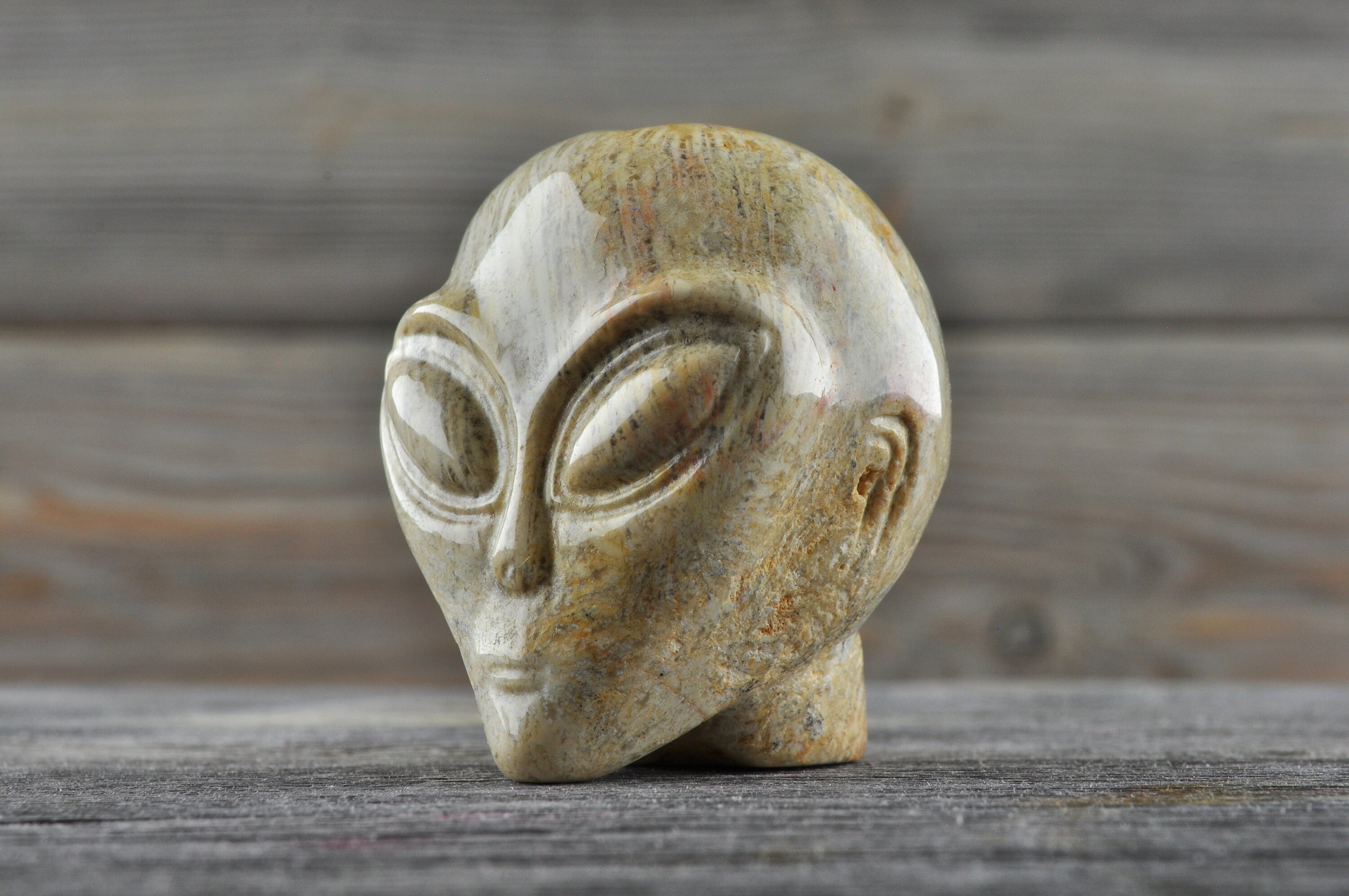 Natural Realistic Coral Fossil Alien Crystal Skull, Mini!