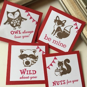 Classroom Valentine's Day Exchange Card | Owl Fox Raccoon Squirrel ...