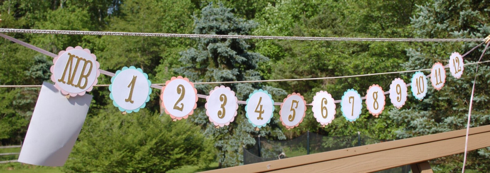 1st ONE Birthday Party Picture Photo Banner 12 Months Number Prop ...
