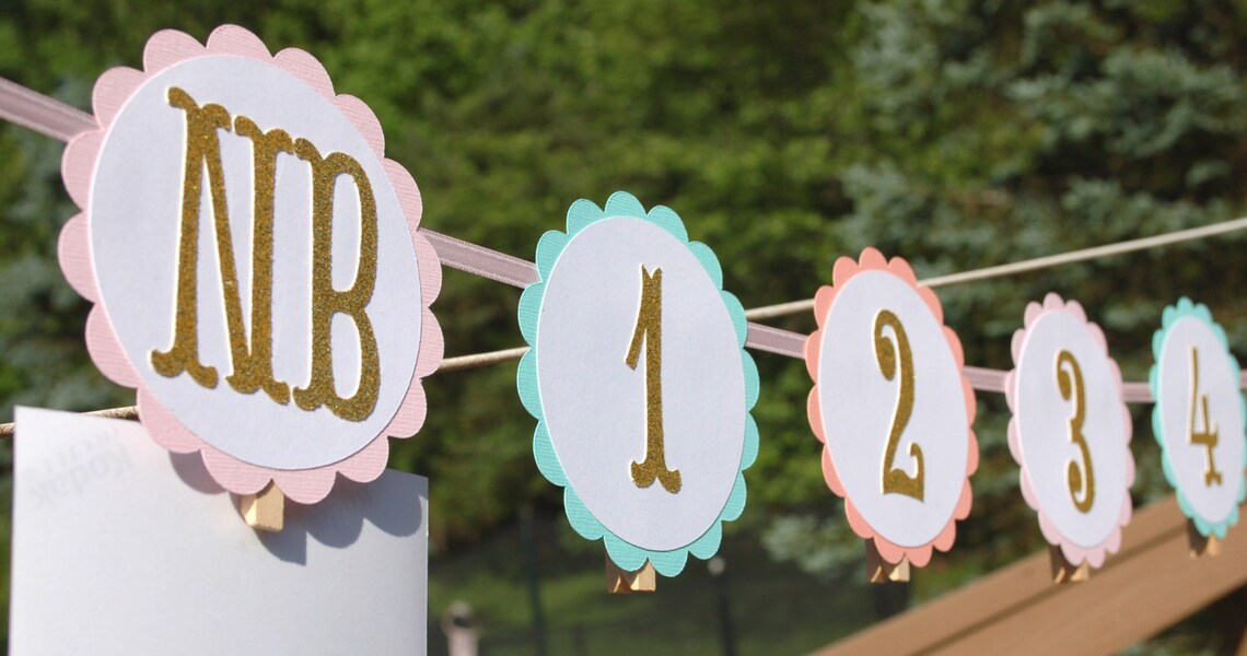 1st ONE Birthday Party Picture Photo Banner 12 Months Number Prop ...
