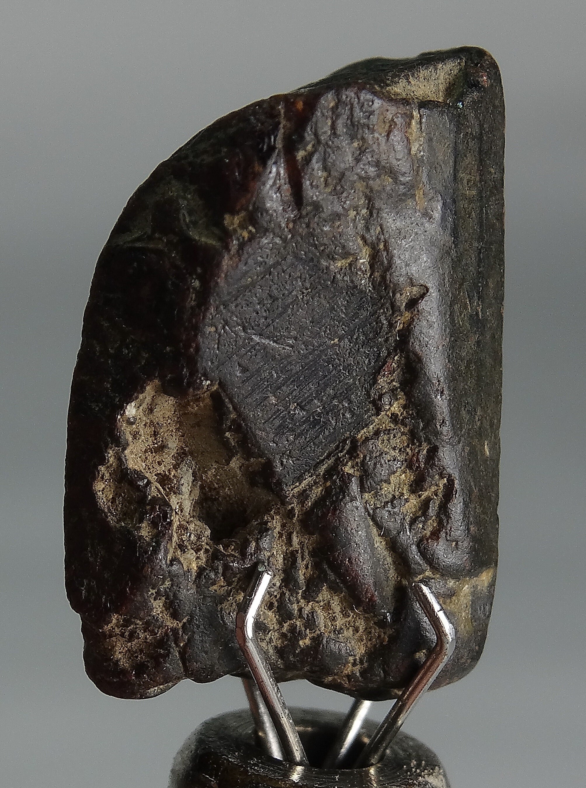 Figurines & Knick Knacks Exhibit Artifact Label Museum Quality ...